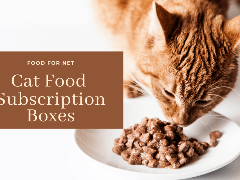 Top 19 Popcorn of the Month Clubs | Food For Net