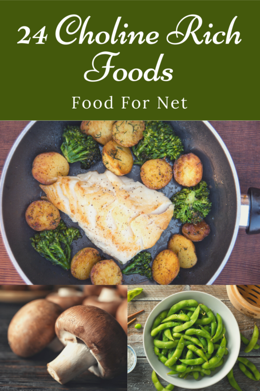 24 Choline Rich Foods To Keep Your Body Running As It Should | Food For Net