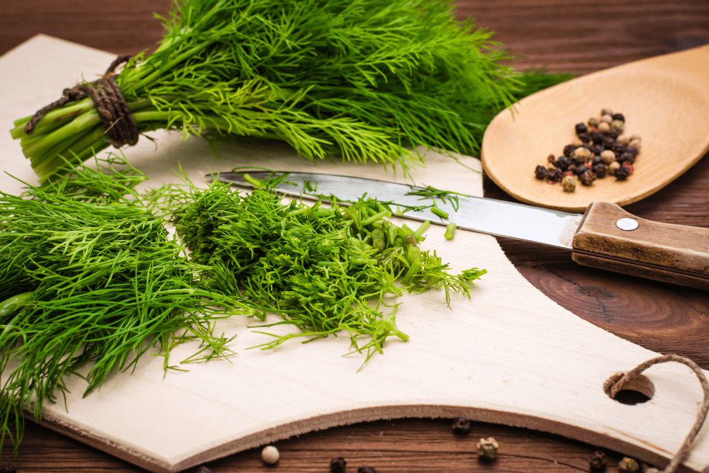 How To Use Fresh Dill | Food For Net