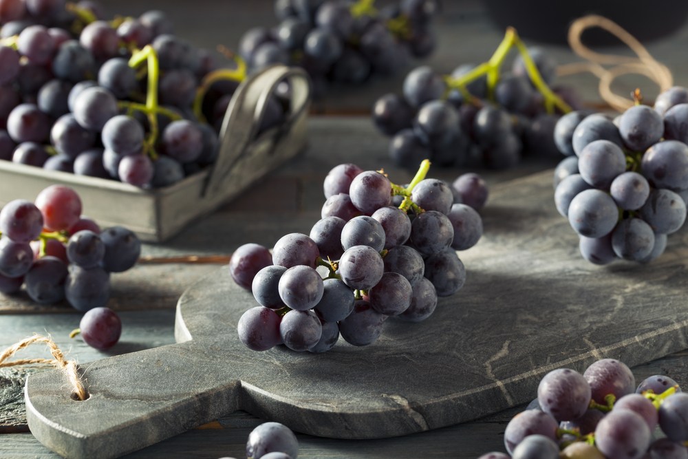 Red Wine Varietal List | Food For Net