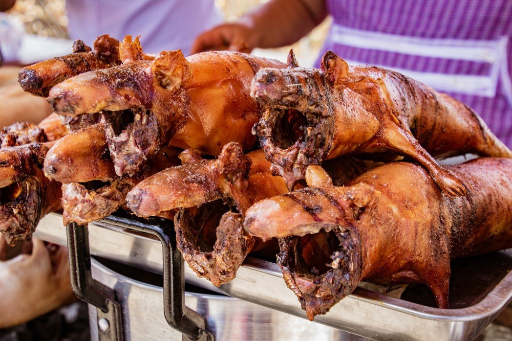 22 Types Of Exotic Meat That Will Blow Your Mind | Food For Net