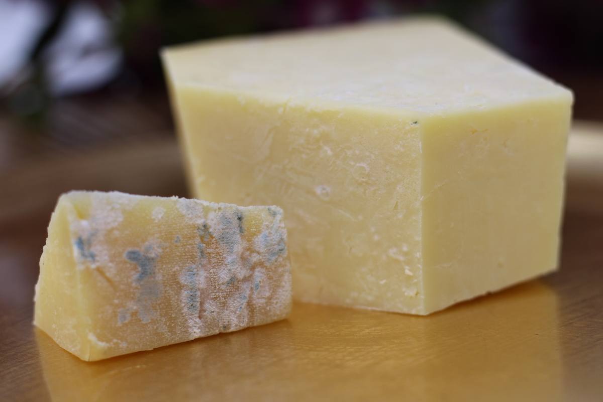 Rare Cheese Club Review | Food For Net