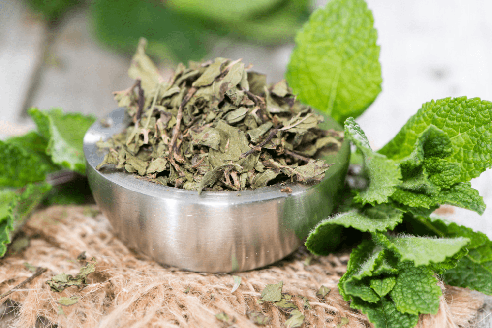 How To Use Dried Mint | Food For Net