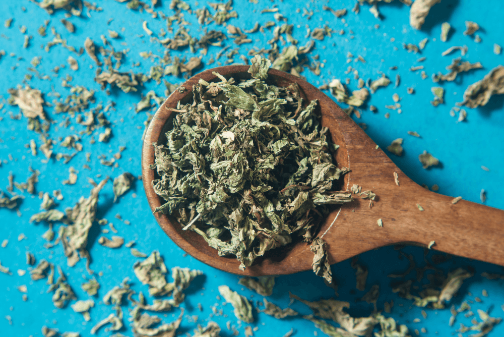 How To Use Dried Mint | Food For Net