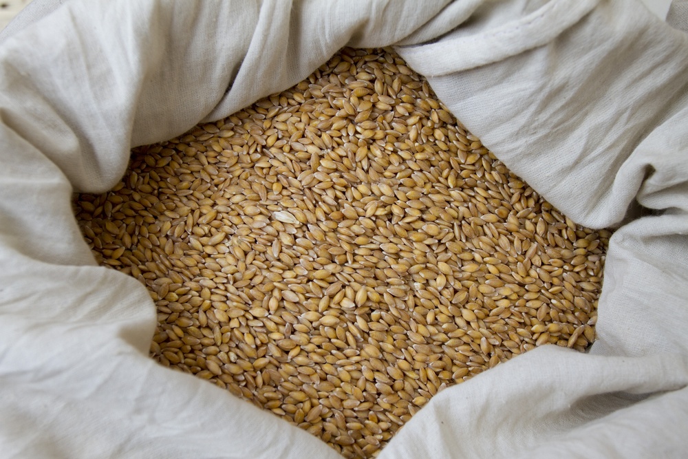 17 Ancient Grains You Can Add To Your Diet Today | Food For Net