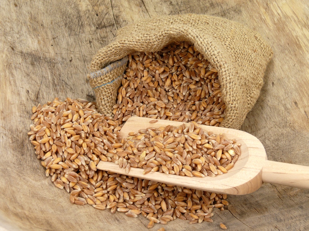 17 Ancient Grains You Can Add To Your Diet Today | Food For Net