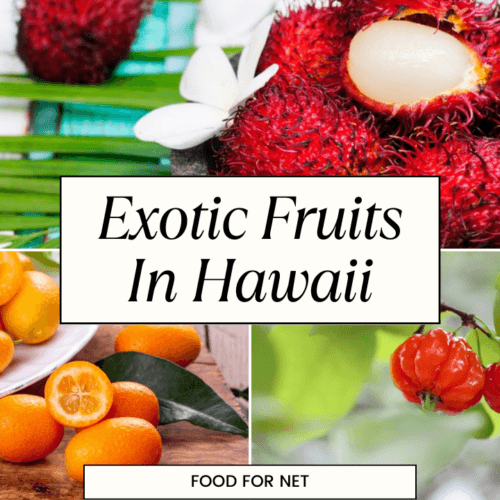 20 Exotic Mexican Fruits That Delight The Senses | Food For Net