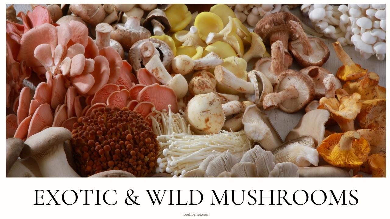 26 Exotic And Wild Mushrooms Great For Rustic & Exquisite Cuisine ...