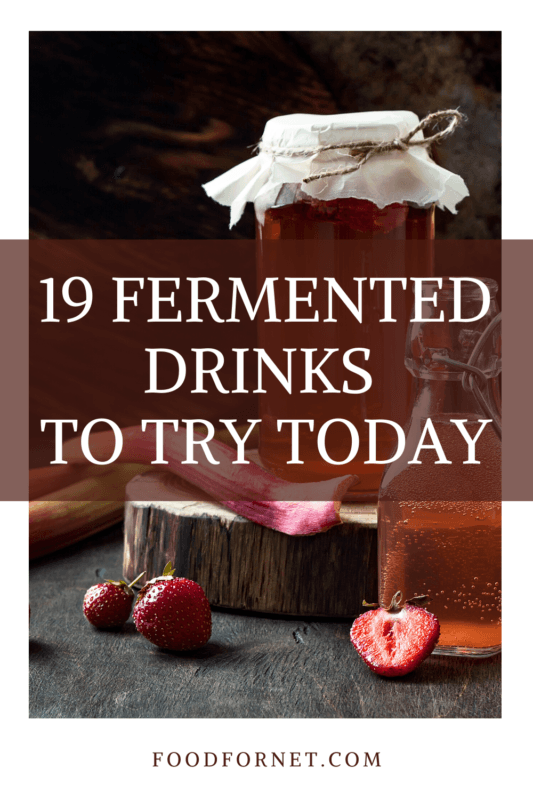 19 Fermented Drinks Including Classic And Obscure Types To Enjoy | Food ...
