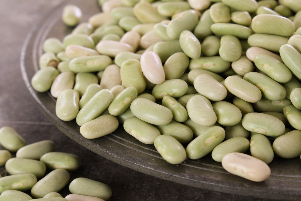 16 Types of Beans – the Most Common and the Most Popular | Food For Net