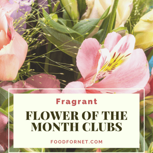 Top 5 Wreath of the Month Subscription Boxes | Food For Net