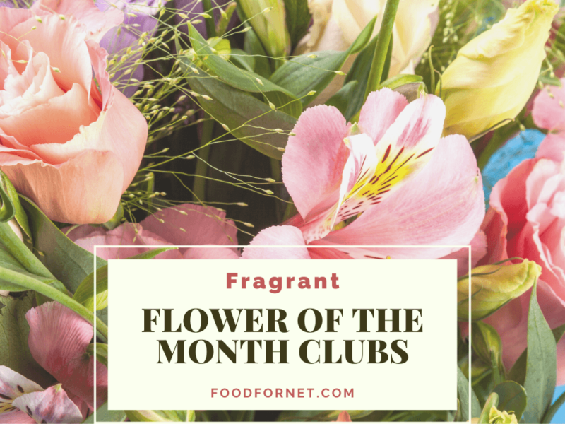 15 Craft Gin Of The Month Clubs In The USA & UK | Food For Net