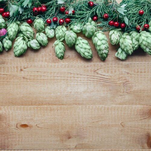 6 Hop Recipes | Food For Net