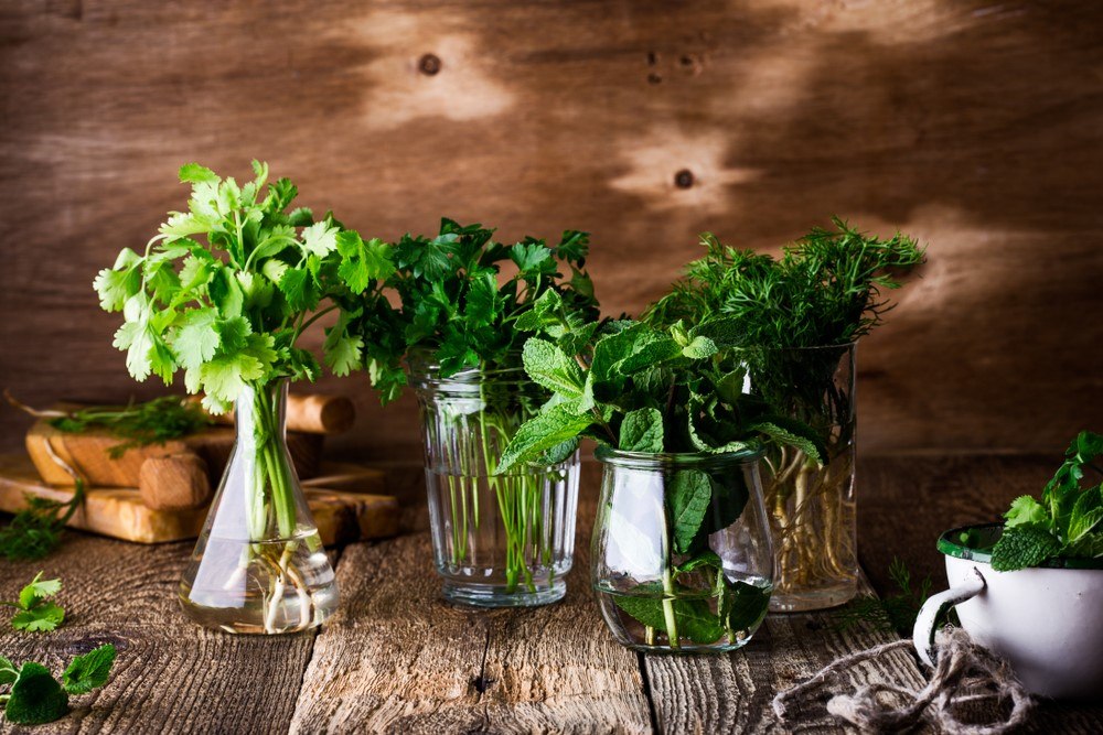 Fresh Vs Dry Herbs: What To Expect & How To Use Them | Food For Net