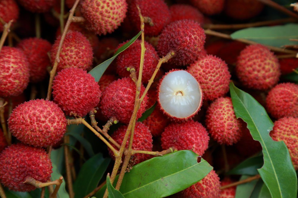 33 Exotic Asian Fruits To Tempt And Delight | Food For Net