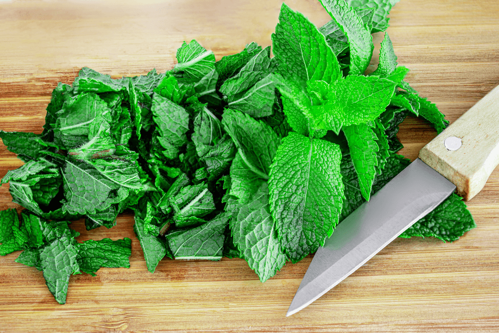 How To Use Fresh Mint | Food For Net