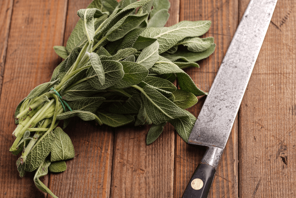 How To Use Fresh Sage | Food For Net