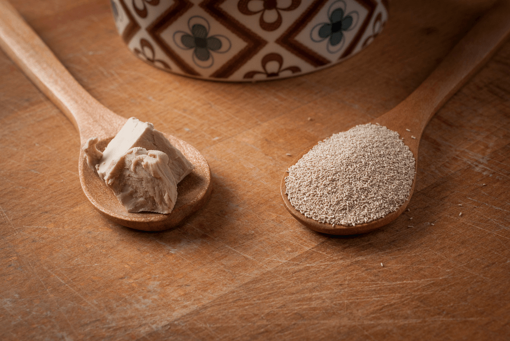 How To Use Fresh Yeast | Food For Net