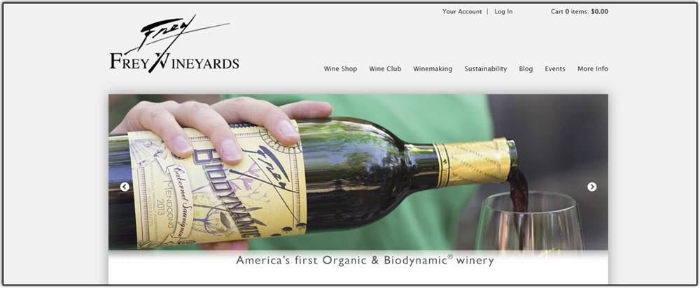 The Best Wines With Low Sulfites | Food For Net