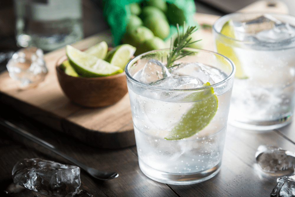 9 Types Of Gin Plus Exciting Gin Variations | Food For Net