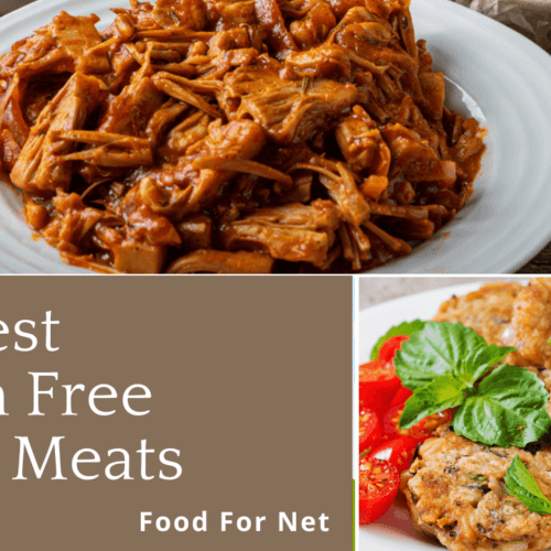 Soy Free Vegan Meat That You Can Rely On | Food For Net