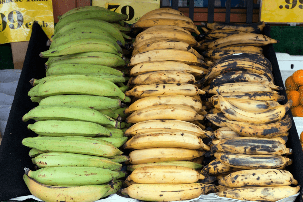 Can You Eat Raw Plantains? | Food For Net