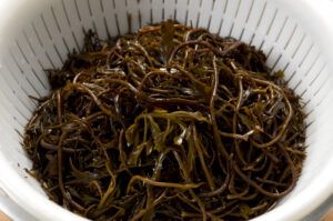 14 Types of Sea Vegetables with Interesting Sea Vegetable Recipes to ...