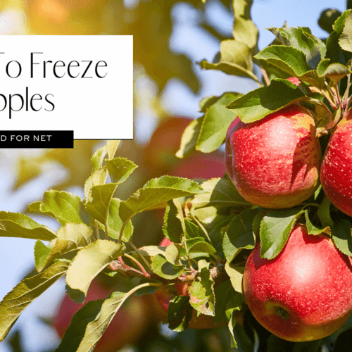 How To Make Applejack | Food For Net