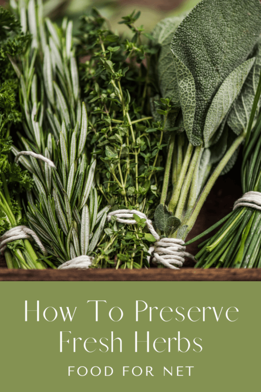 How To Preserve Fresh Herbs | Food For Net