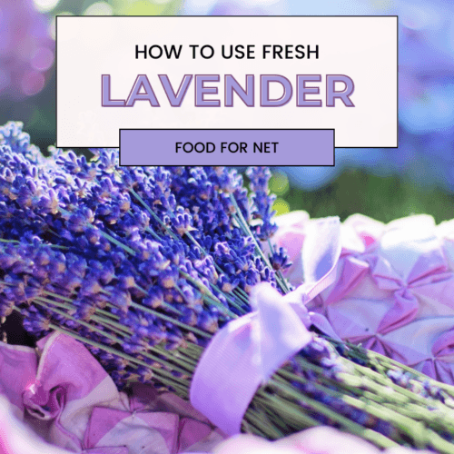 How To Use Fresh Oregano | Food For Net