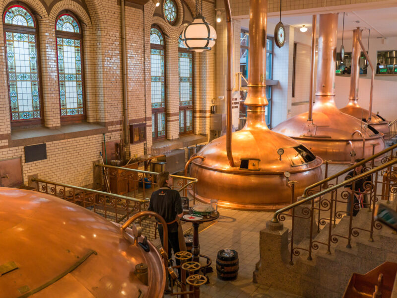 Lager Vs Ale: How Do The Styles Differ? | Food For Net