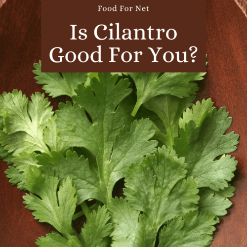 The World's Best Coffee Growing Regions & Their Flavor Profiles | Food ...