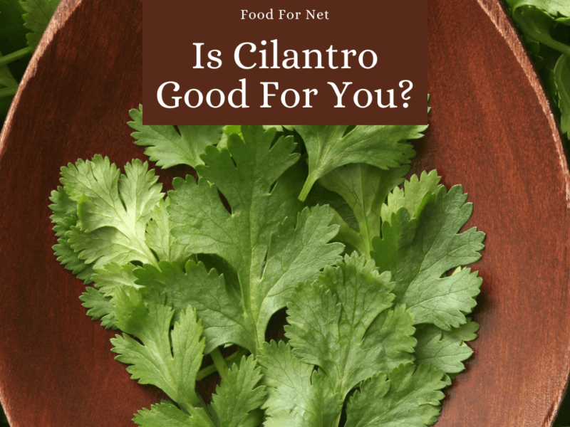 15 Nitrogen Rich Foods That Can Be Good For You | Food For Net