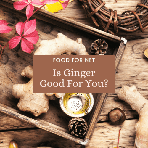 The Best Ginger Brandy | Food For Net
