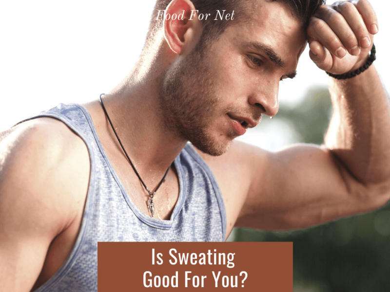 Are Fig Newtons Good For You? | Food For Net