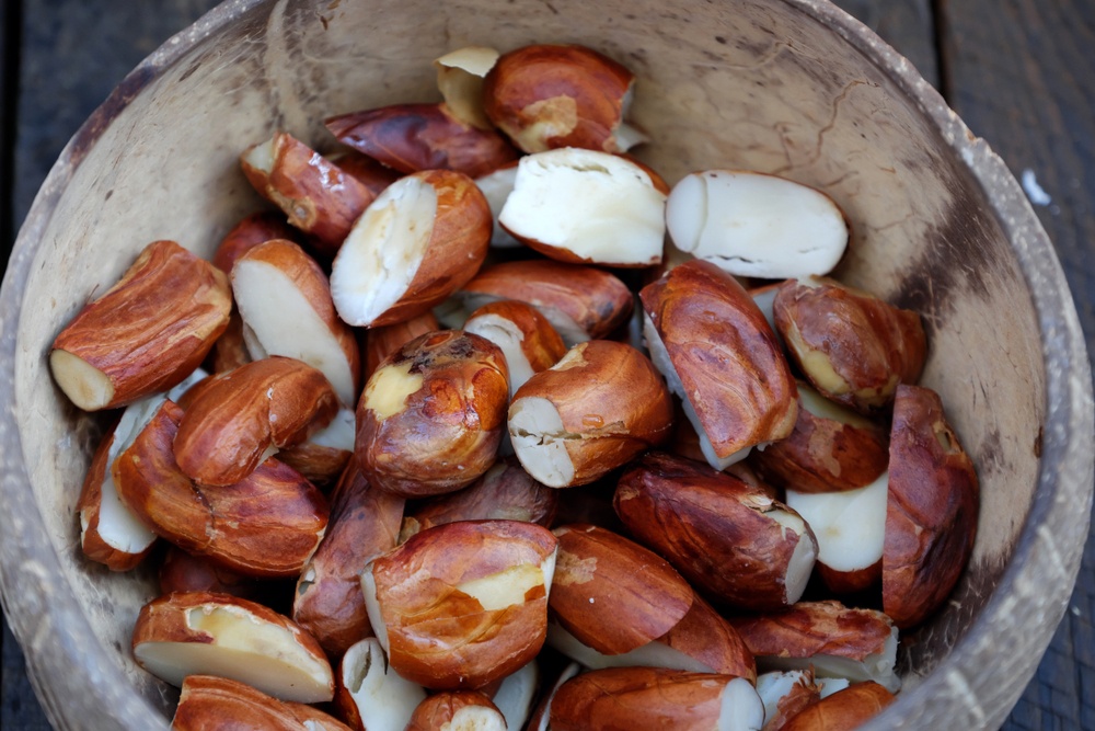 29 Exotic Nuts That You Need To See To Believe | Food For Net