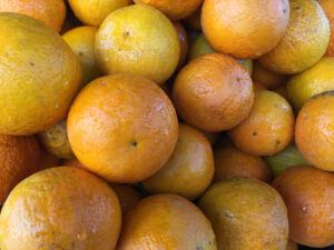 13 Types of Oranges and Guide to Buying and Storing! | Food For Net