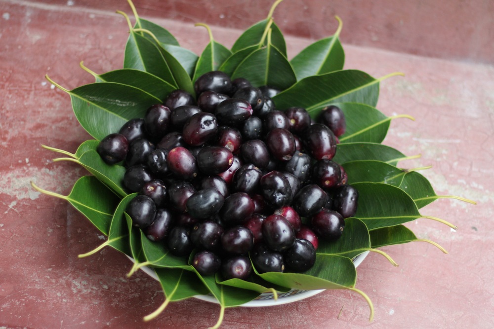 73 Exotic Fruits From Around The World (With Pictures!) | Food For Net