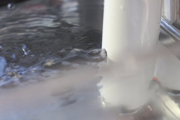 Joule Review: Is It Worth The Cost For Sous Vide? | Food For Net