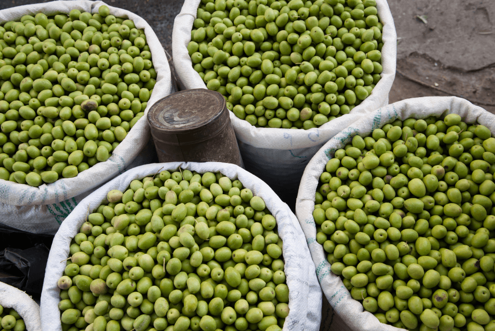 Can You Eat Raw Olives? | Food For Net