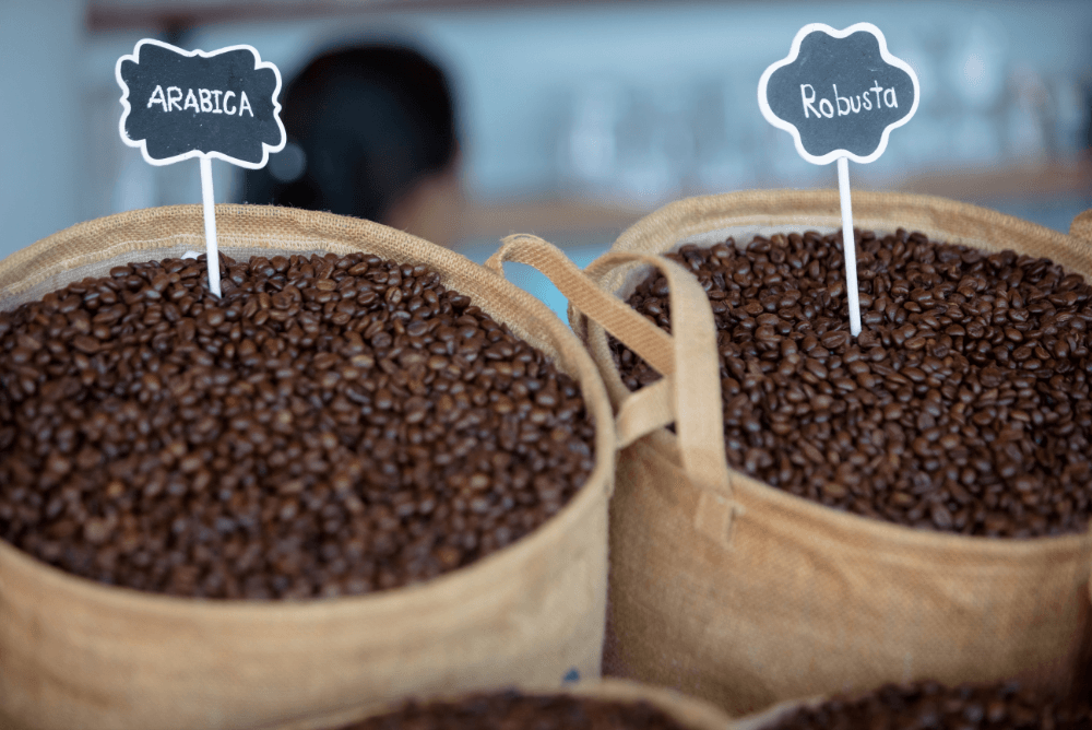17 Types Of Coffee To Expand Your Coffee Horizons | Food For Net