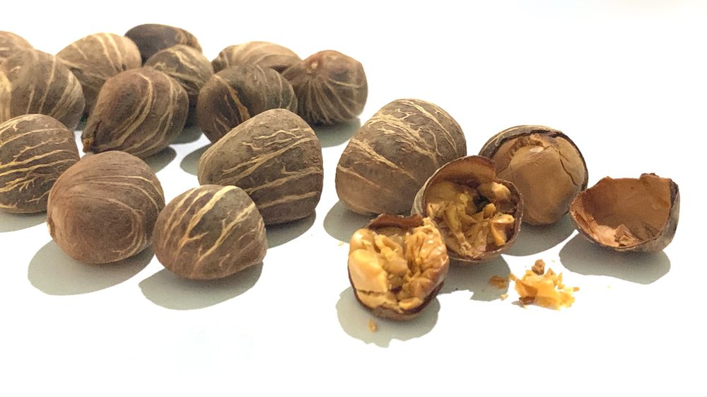 23 Exotic And Weird Nuts That You Need To See To Believe | Food For Net