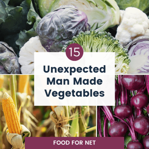 26 Stunning Purple Vegetables To Make Your Plate Come Alive | Food For Net