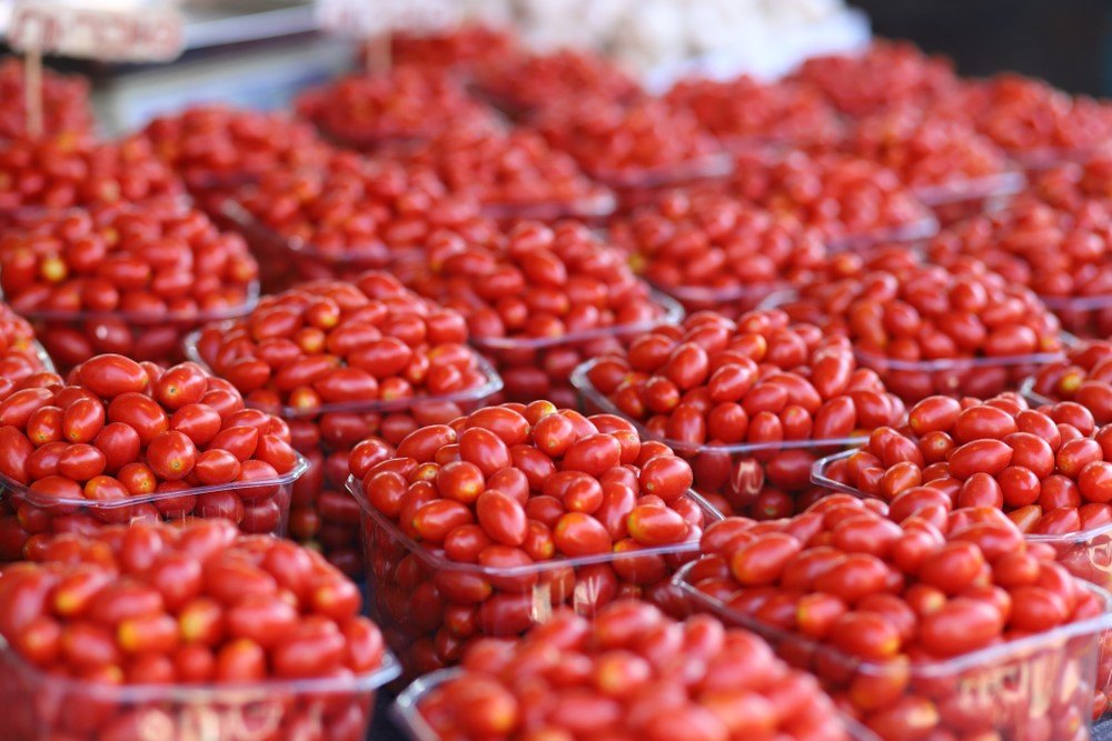 The Best Tomato Varieties For Your Home Garden | Food For Net