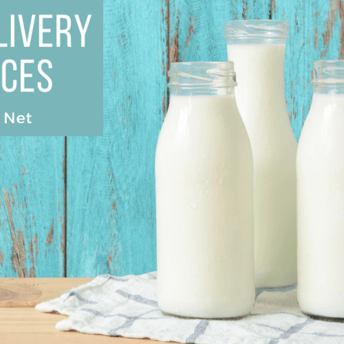 24 Types Of Milk Including Dairy And Plant-Based Options | Food For Net