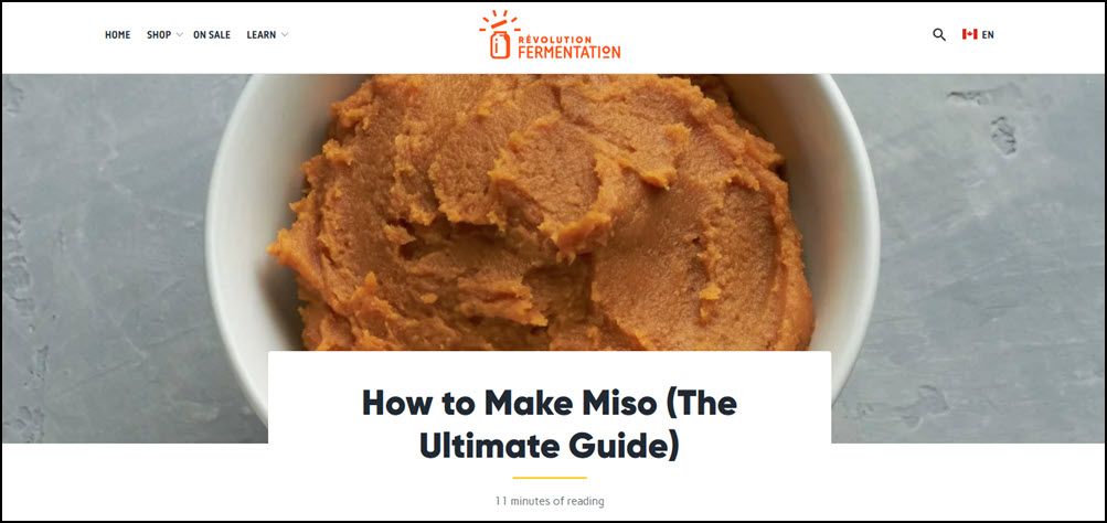 How To Make Miso Paste And What You Can Do With It | Food For Net