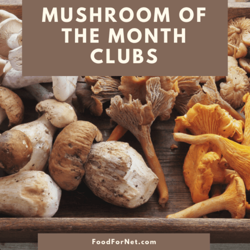 Can You Eat Raw Mushrooms? | Food For Net