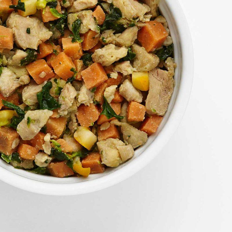 6 Cat Food Subscription Boxes Your Fur Baby Will Love! | Food For Net