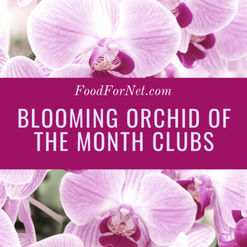 Top 8 Fragrant Flower of the Month Clubs | Food For Net