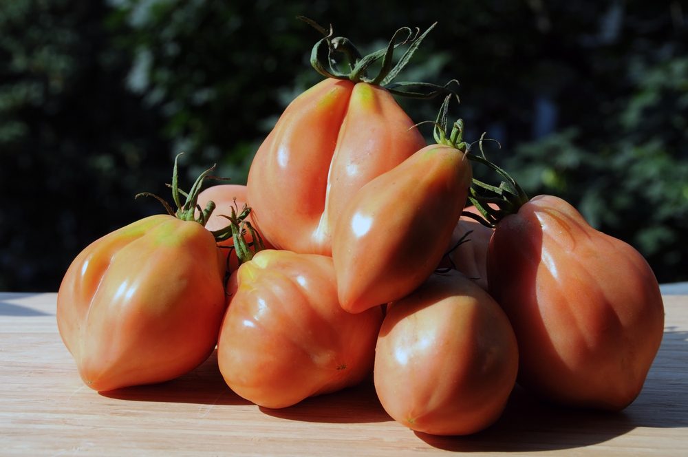 7 Types of Tomatoes and What to Do with Them | Food For Net